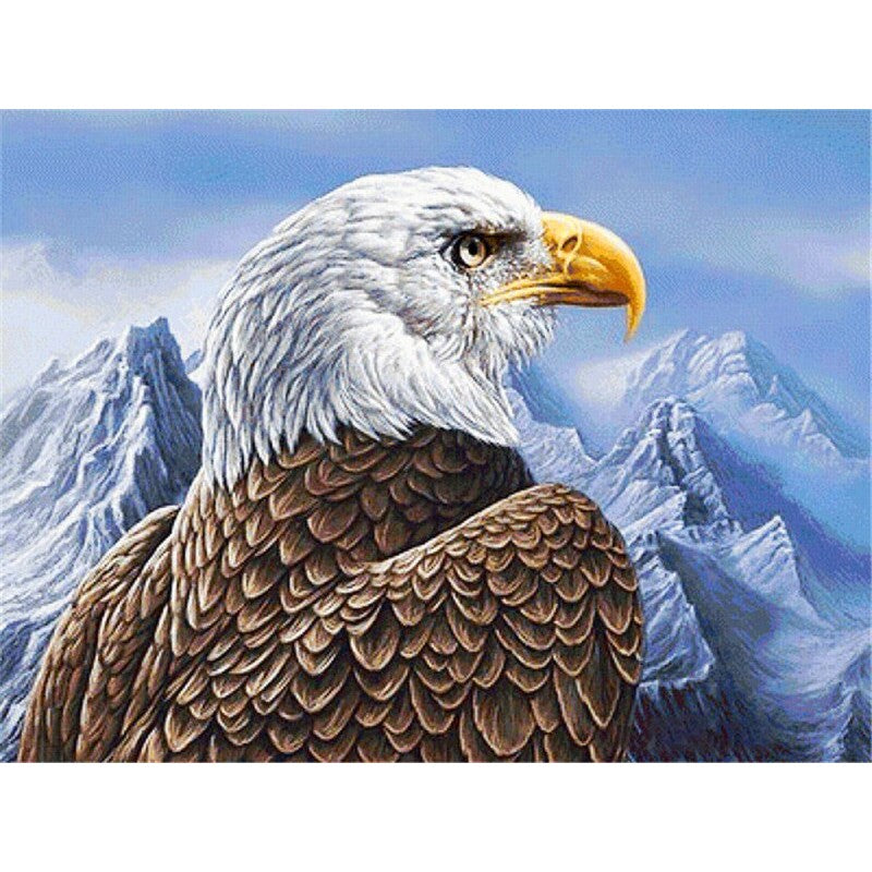 Bald Eagle Paint By Numbers Kit