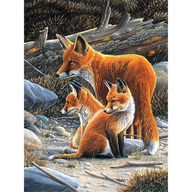 Paint By Numbers Fox Family Kit