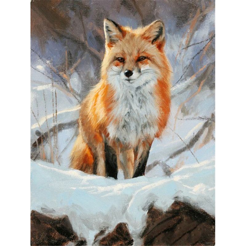 Paint By Numbers Fox Picture Kit