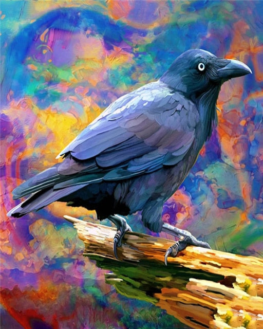 Raven Paint By Numbers Kit